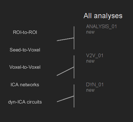 CONNチュートリアル 13: first-level Analysis: ROI-to-ROI & Seed-to-Voxel